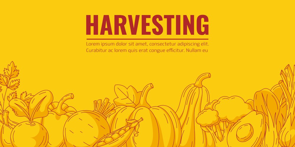 Harvesting vegetables horizontal minimalist Vector Image