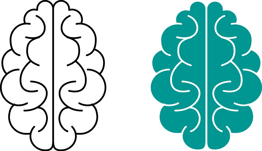 Brain Human Schematic Vector Images (95)