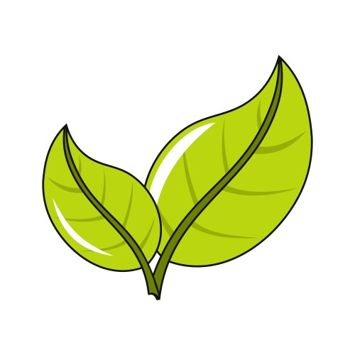 Two green leaves cartoon icon Royalty Free Vector Image