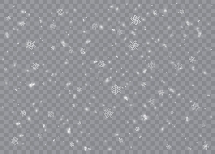 Falling snowflakes with blurry snowy particles Vector Image