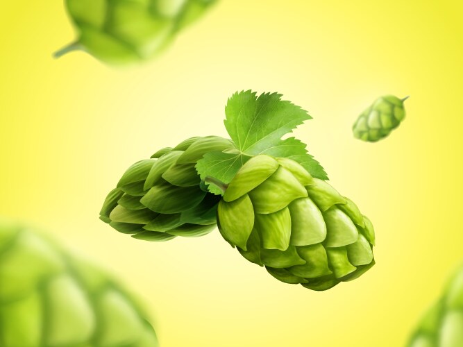 Hops Vector Images (over 48,000)