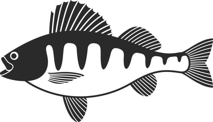Perch black and white Royalty Free Vector Image