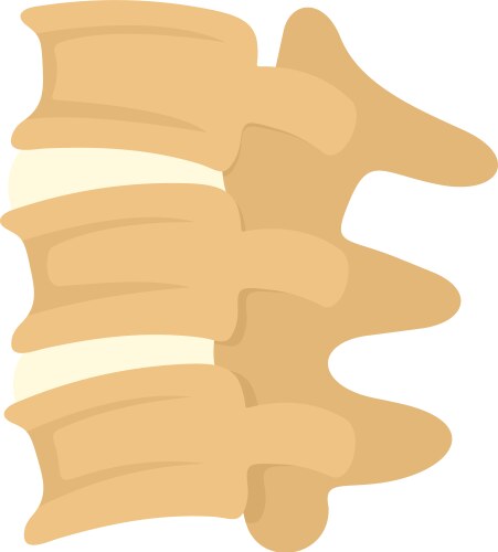 Human spine icon outline style Royalty Free Vector Image