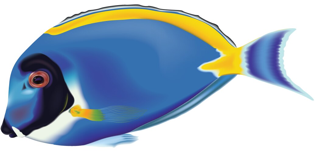Cartoon set of powder blue tang fish Royalty Free Vector