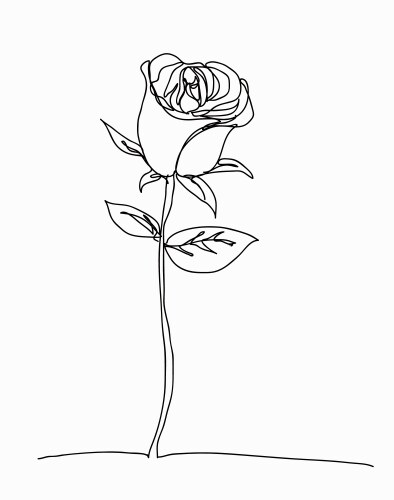 Rose flower line drawing style art design Vector Image