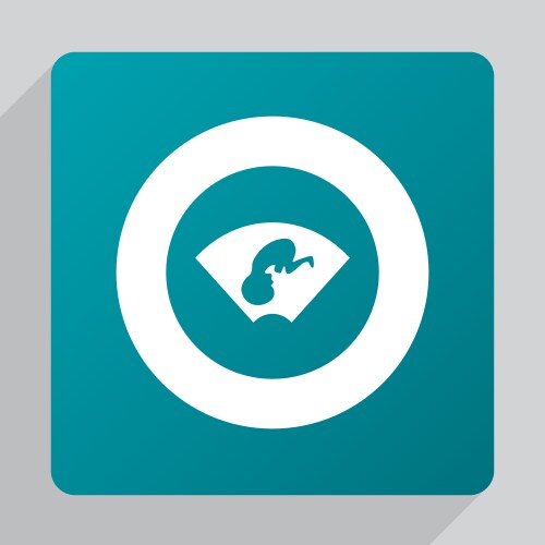 Baby ultrasound diagnostic sonography Royalty Free Vector