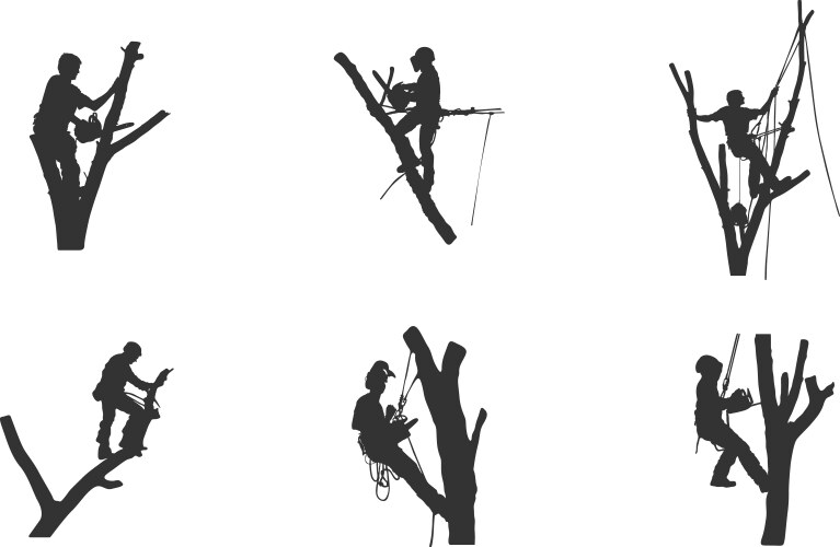Tree Climber Silhouette Vector Images (over 610)