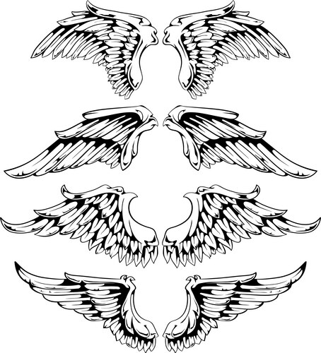 Free Wings Vector Graphics & Illustrations | VectorStock