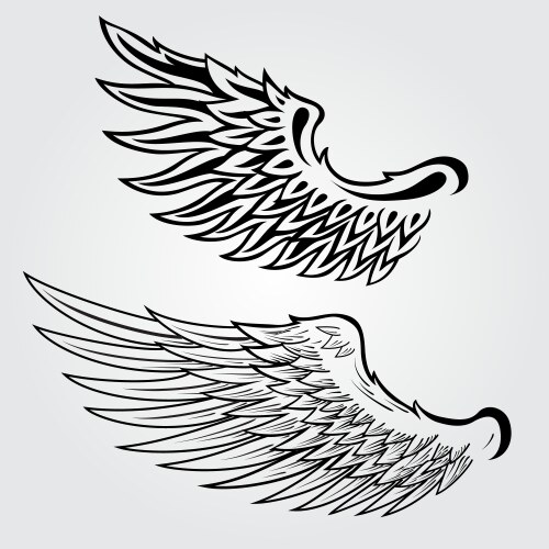 Wing Vector Images (over 480,000)