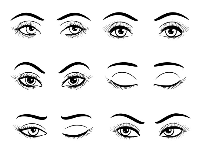 Eye icons open and closed human eyes Royalty Free Vector