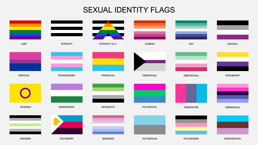 Sexual diversity lgbt pride flags rainbow banners Vector Image