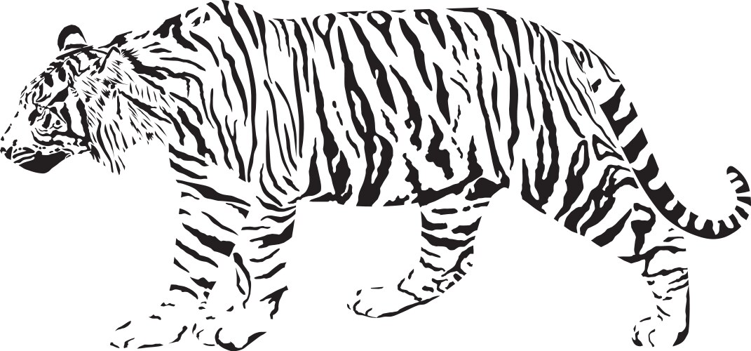 White Tiger Vector Images (over 78,000)