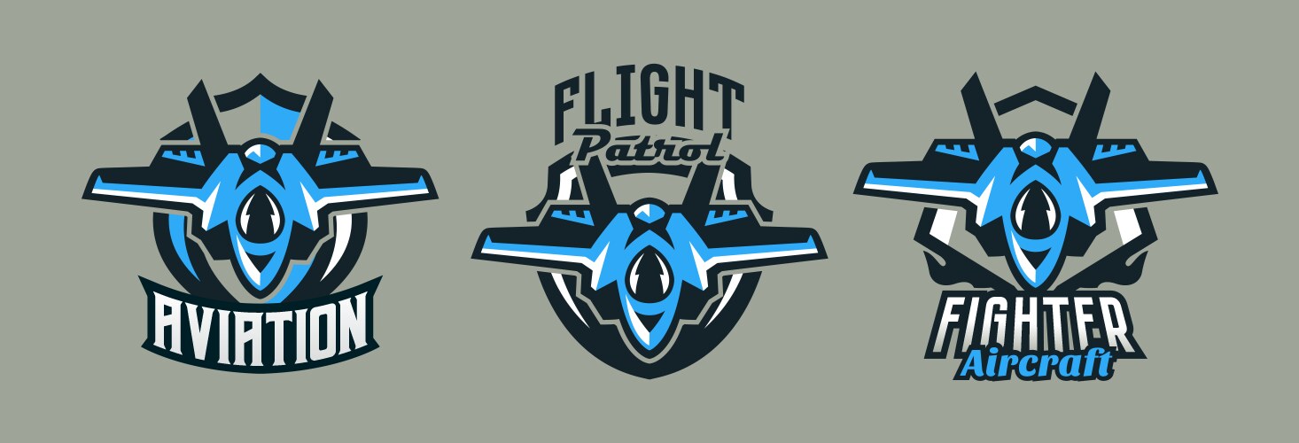 Emblem of a military aircraft logo Royalty Free Vector Image