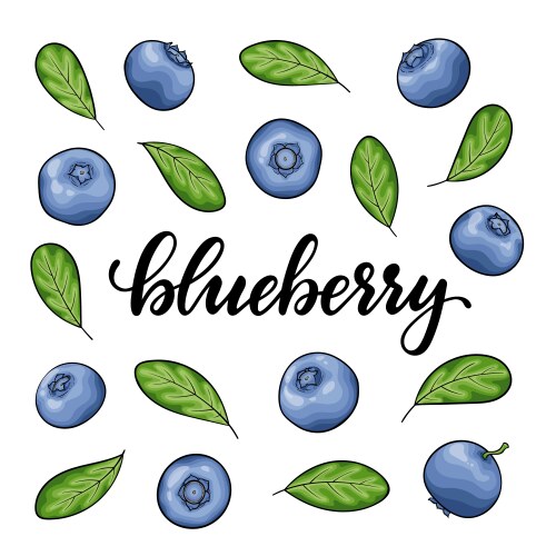 Blueberry Cartoon Vector Images (over 9,600)