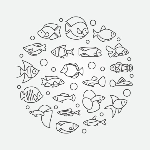 Fish circle design template Royalty Free Vector Image