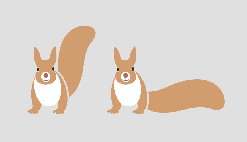 Squirrel Royalty Free Vector Image - VectorStock