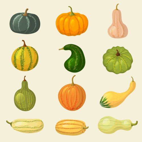 Squash Cartoon Vector Images (over 9,500)
