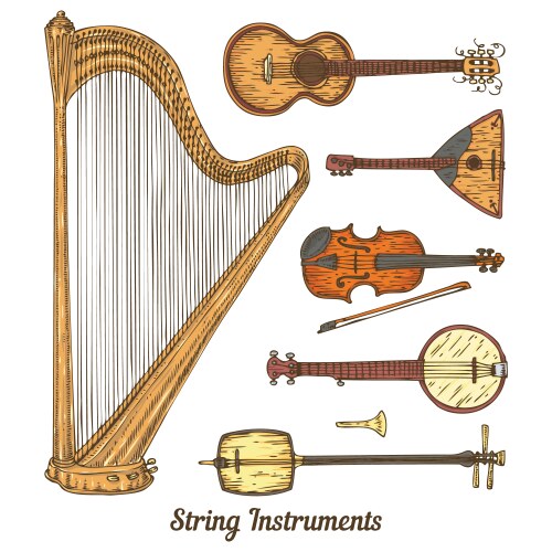 A set of classic strings percussion and wind Vector Image