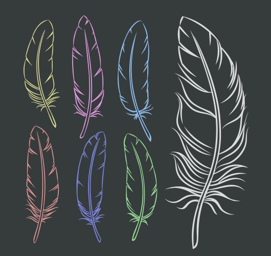 Hand drawn feathers Royalty Free Vector Image - VectorStock