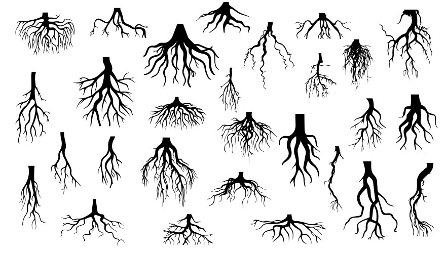 Tree with Roots Outline Vector Images (over 3,700)