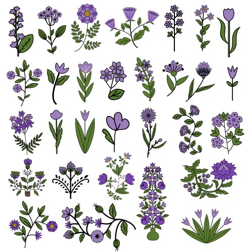 Set of flowers Royalty Free Vector Image - VectorStock