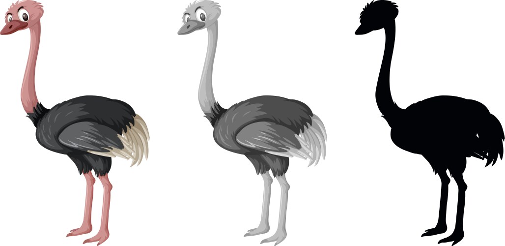 Ostrich Clipart Vector Images (over 540)