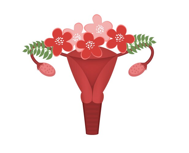Human female genitalia external Royalty Free Vector Image