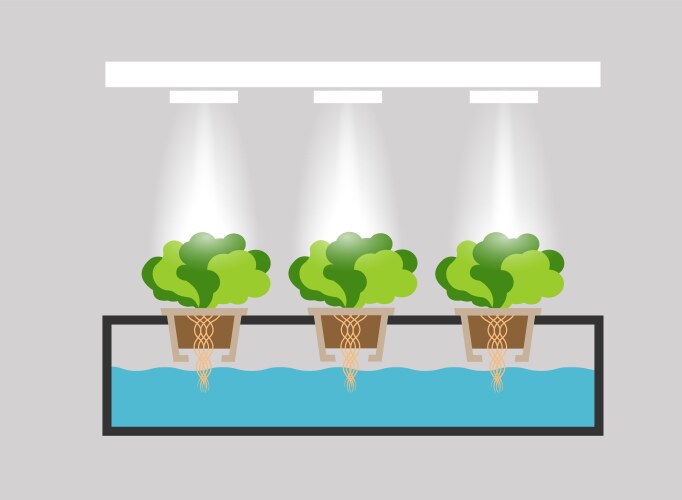 Hydroponic Vector Images (over 2,500)