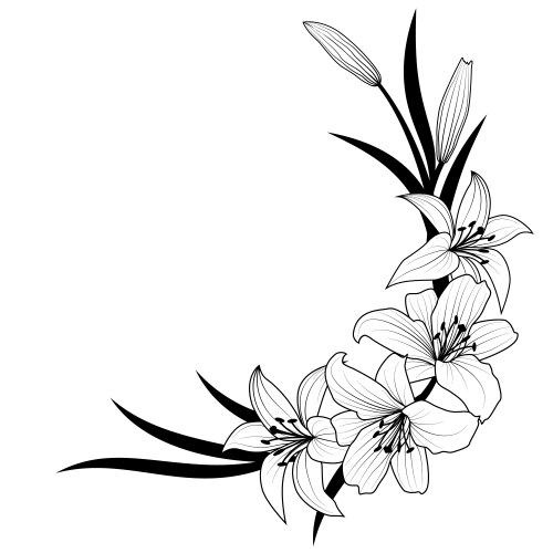 Lily Outline Vector Images (over 11,000)