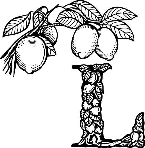 Letters set a-d Royalty Free Vector Image - VectorStock