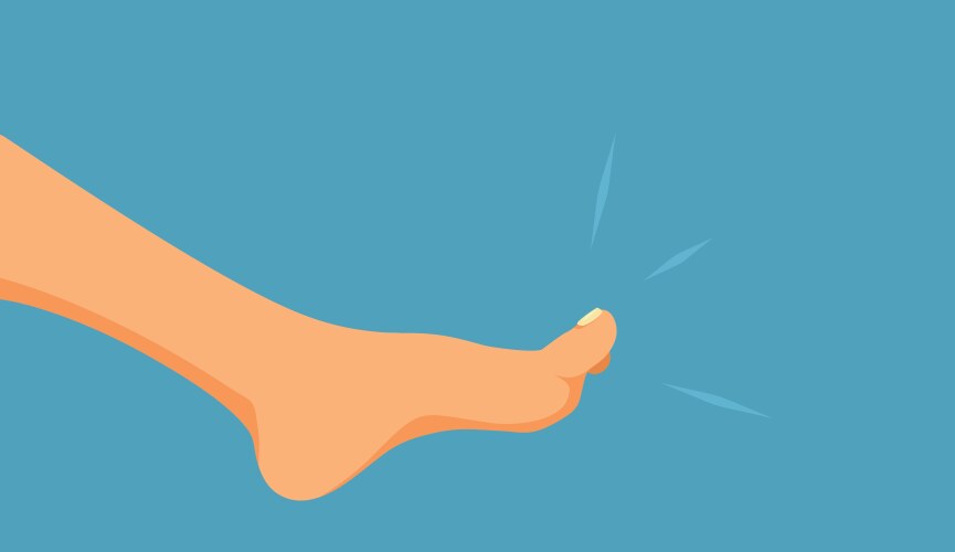 Body Part Sole of Foot Vector Images (over 330)