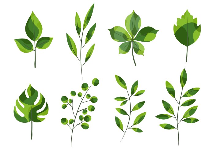 Branches Vector Images (over 620,000)