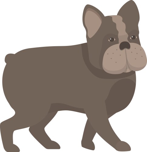 French bulldog walking side view Royalty Free Vector Image