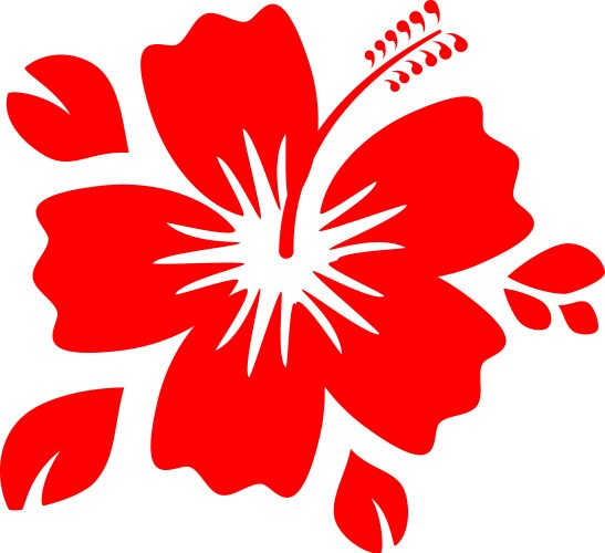 Seamless pattern with hawaiian hibiscus flower Vector Image