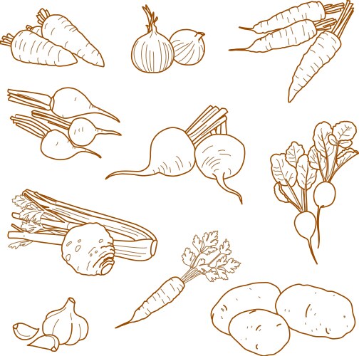 Vegetables Royalty Free Vector Image - VectorStock