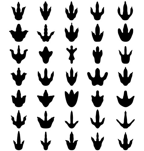 Outlined bottom brachiosaurus dinosaur paw Vector Image