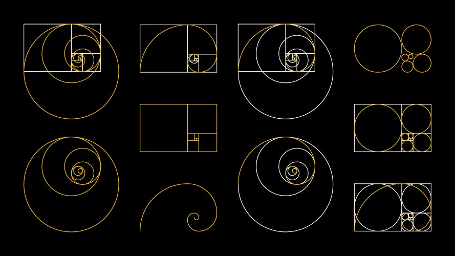Set of golden ratio element Royalty Free Vector Image
