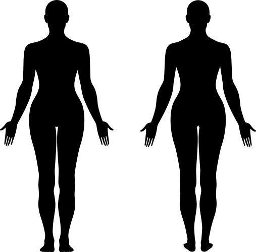 Human body front back silhouette Vector Images & Graphics for ...