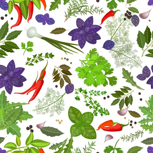 Seamless borders with various herbs and spices Vector Image