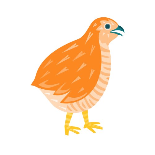 Cartoon happy quail Royalty Free Vector Image - VectorStock