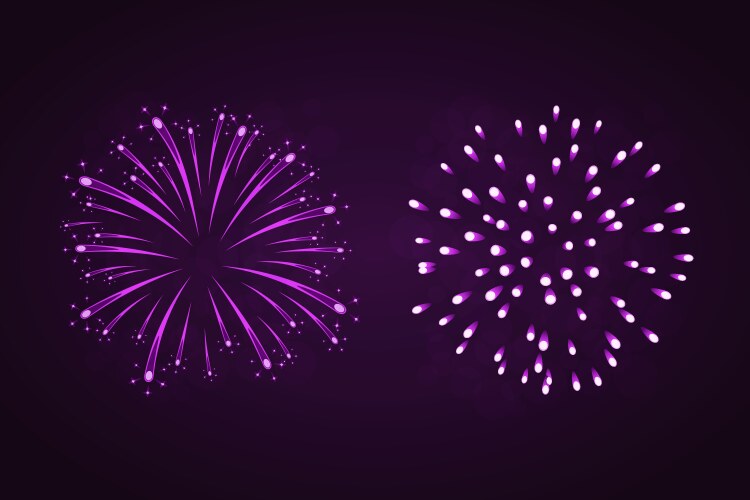 Fireworks Royalty Free Vector Image - VectorStock