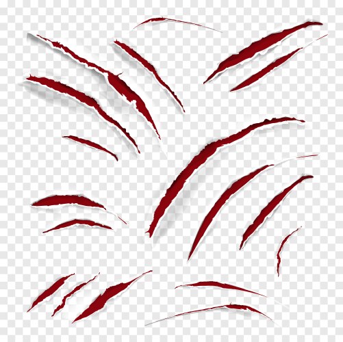 Claw Marks Vector Images (over 3,000)