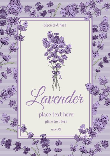 Lavender background Royalty Free Vector Image - VectorStock