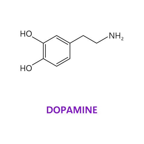 Chemical Icon Dopamine Vector Images (over 410)