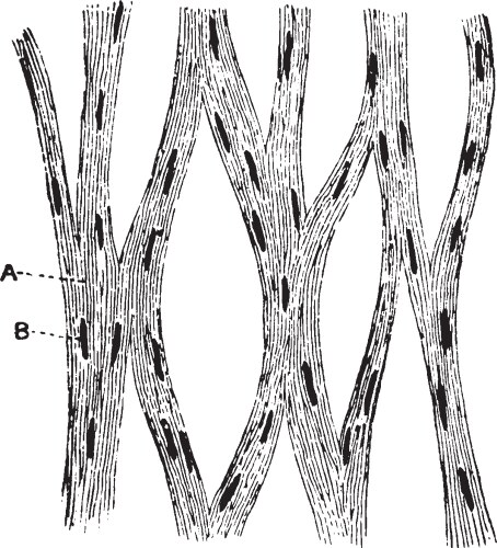 Plain Vector Images (over 60,000)