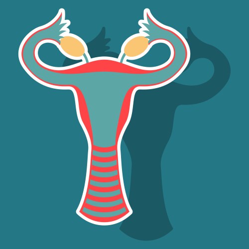 Picture of Female Reproductive System Vector Images (over 100)