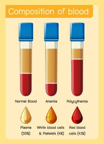 Composition of blood diagram Royalty Free Vector Image