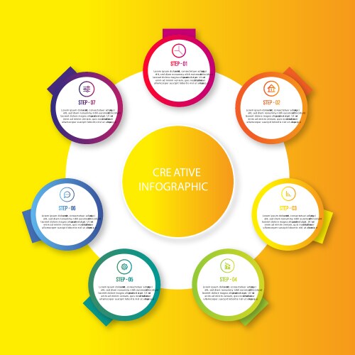 Creative infographic template design brand info Vector Image