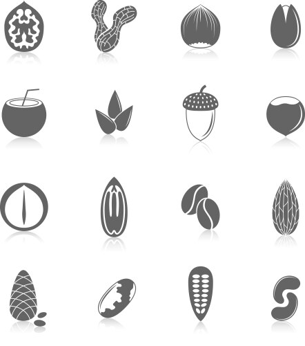 Nuts Royalty Free Vector Image - VectorStock