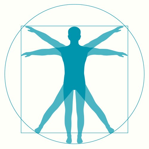 Vitruvian man Royalty Free Vector Image - VectorStock